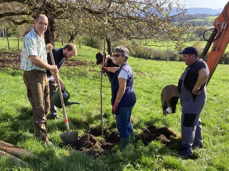 Öko-Modellregionen · Obstanger neu bepflanzt
